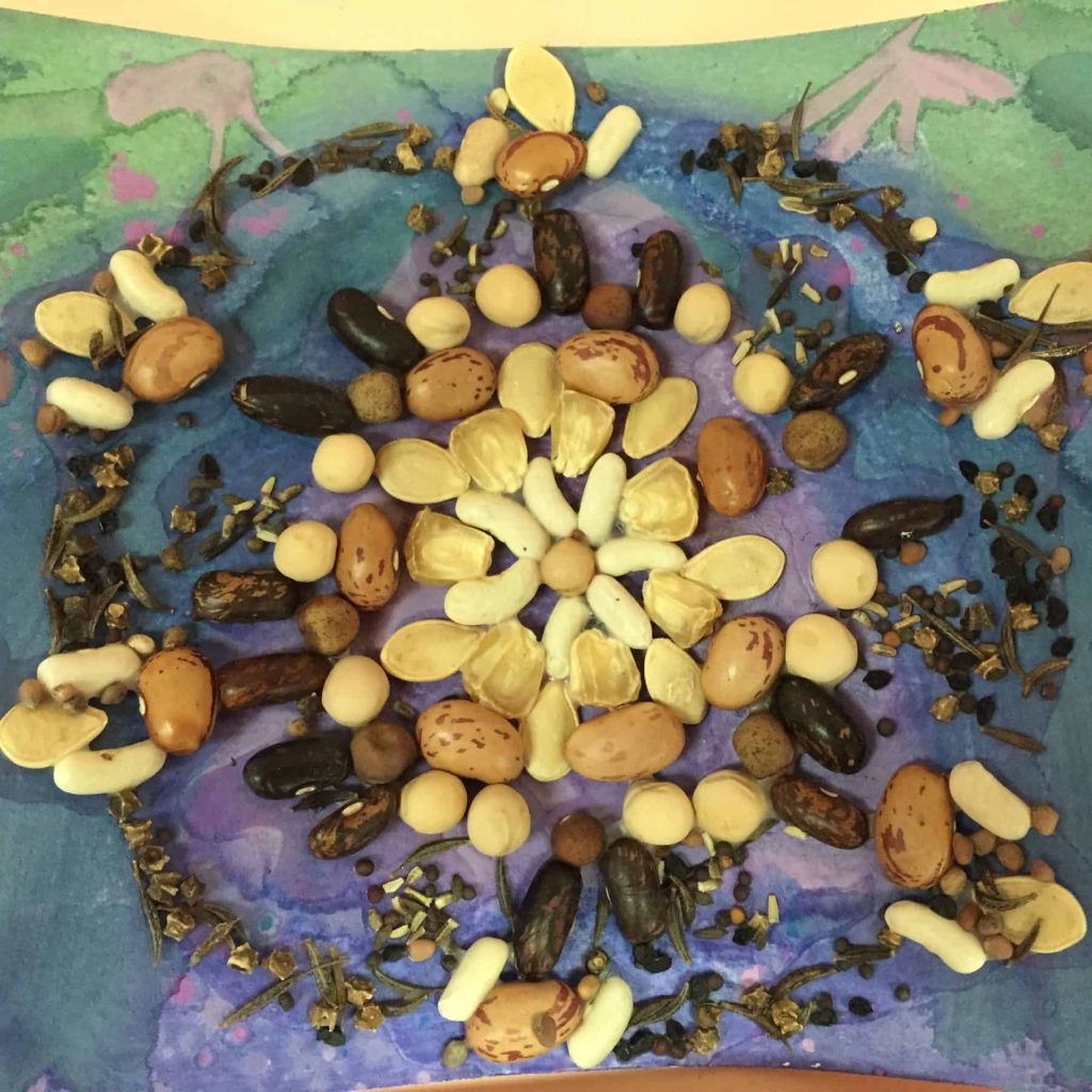 A Seed Mandala Art Project Is A Fun Way To Learn About Gardening
