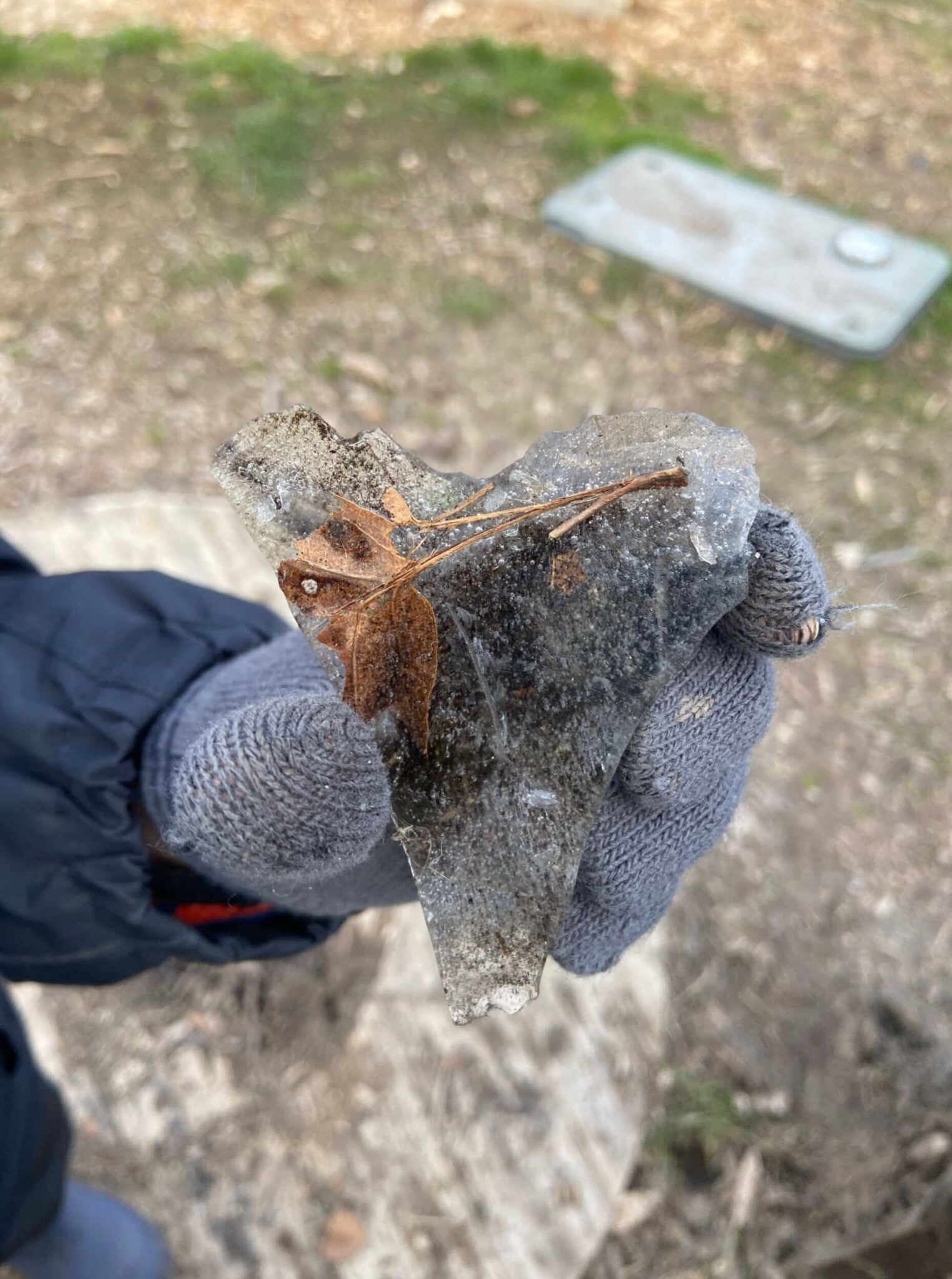Valentine's Day Ideas for Your Outdoor Classroom - Megan Zeni