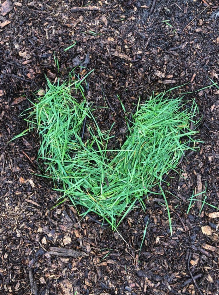 Valentine's Day Ideas for Your Outdoor Classroom